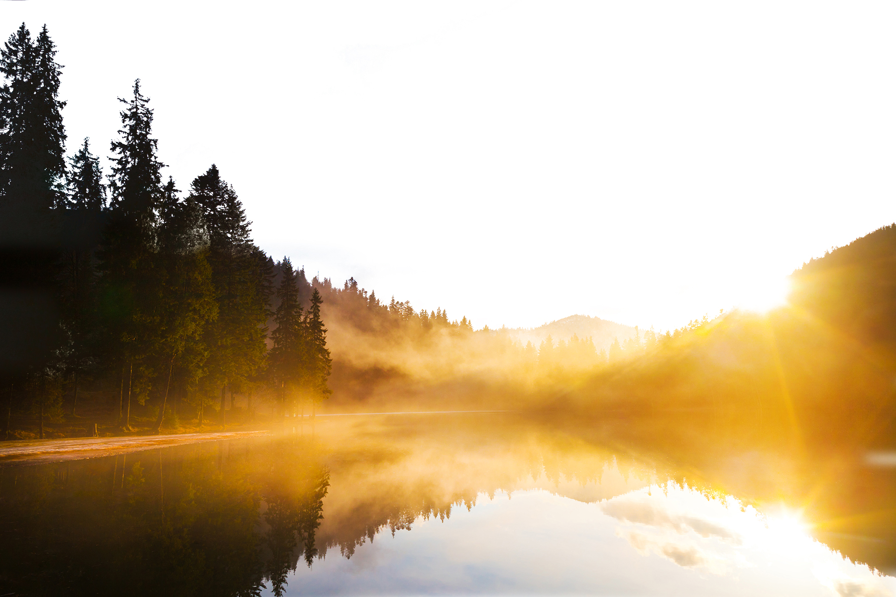 Home - Timothy DeMay Financial Solutions